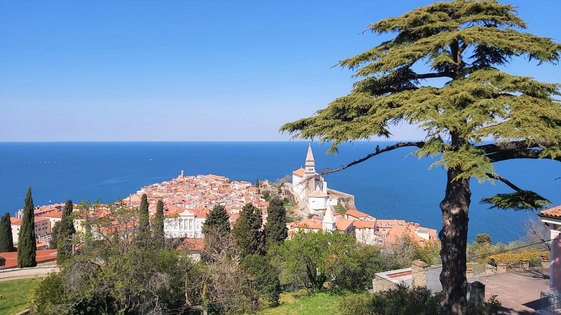 Perlen der Adria Triest, Piran und Rovinj | Kinz Kommunikation